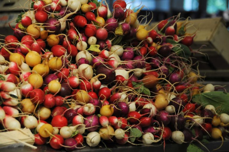 Maison Plisson à Paris