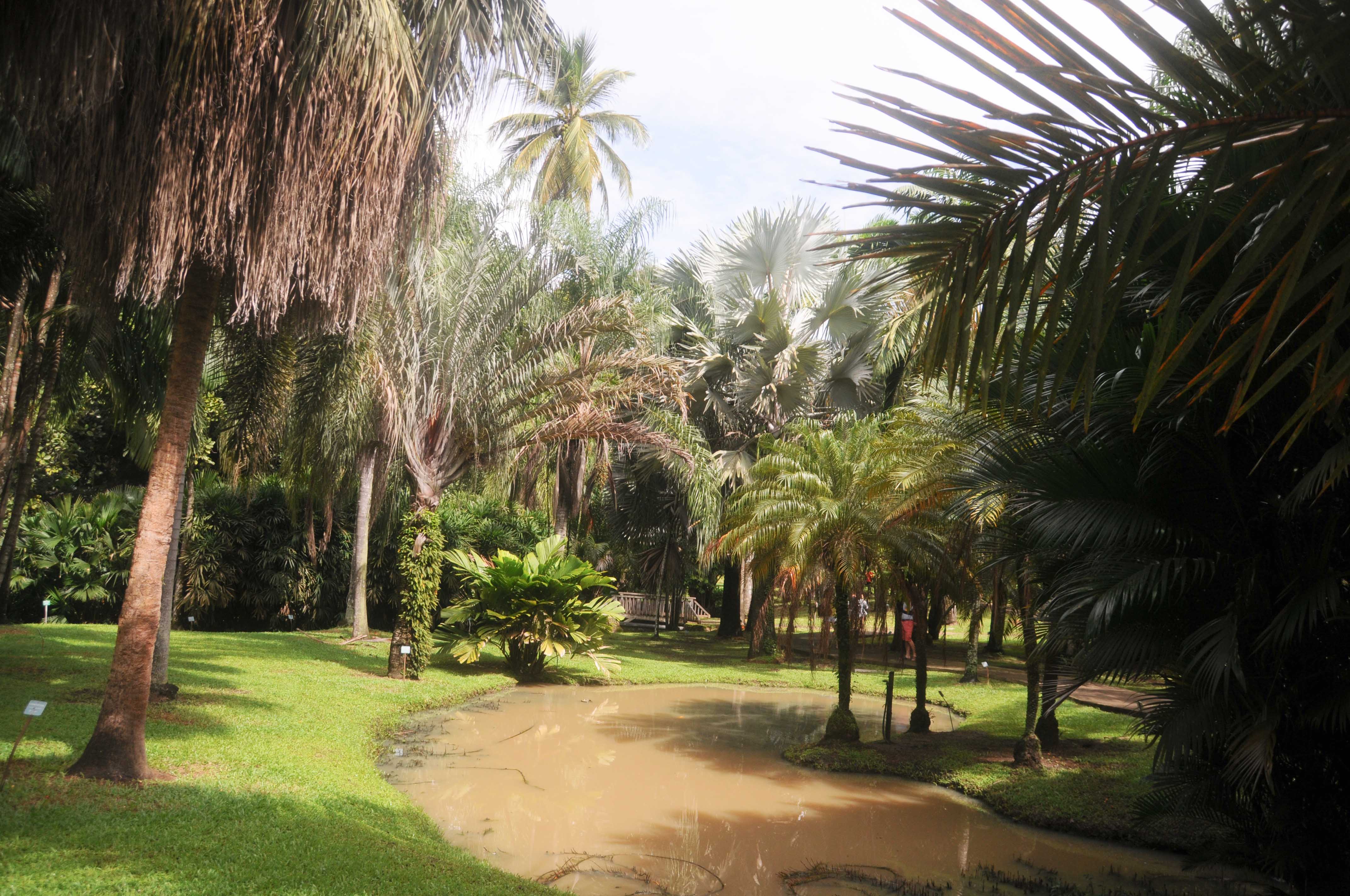 Visite de l'Habitation Clément lors du Martinique Chefs Festival