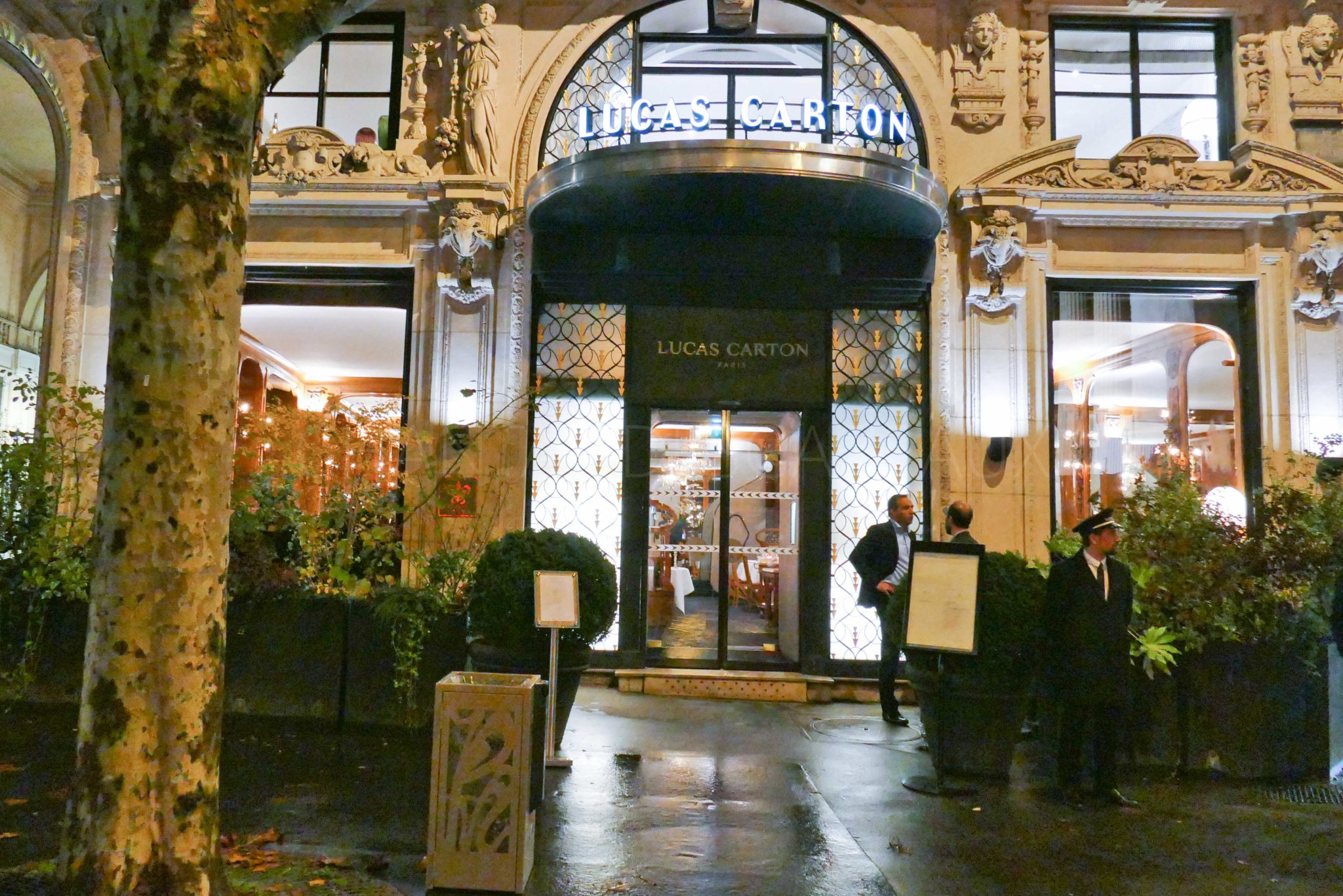 LUCAS CARTON - Julien Dumas