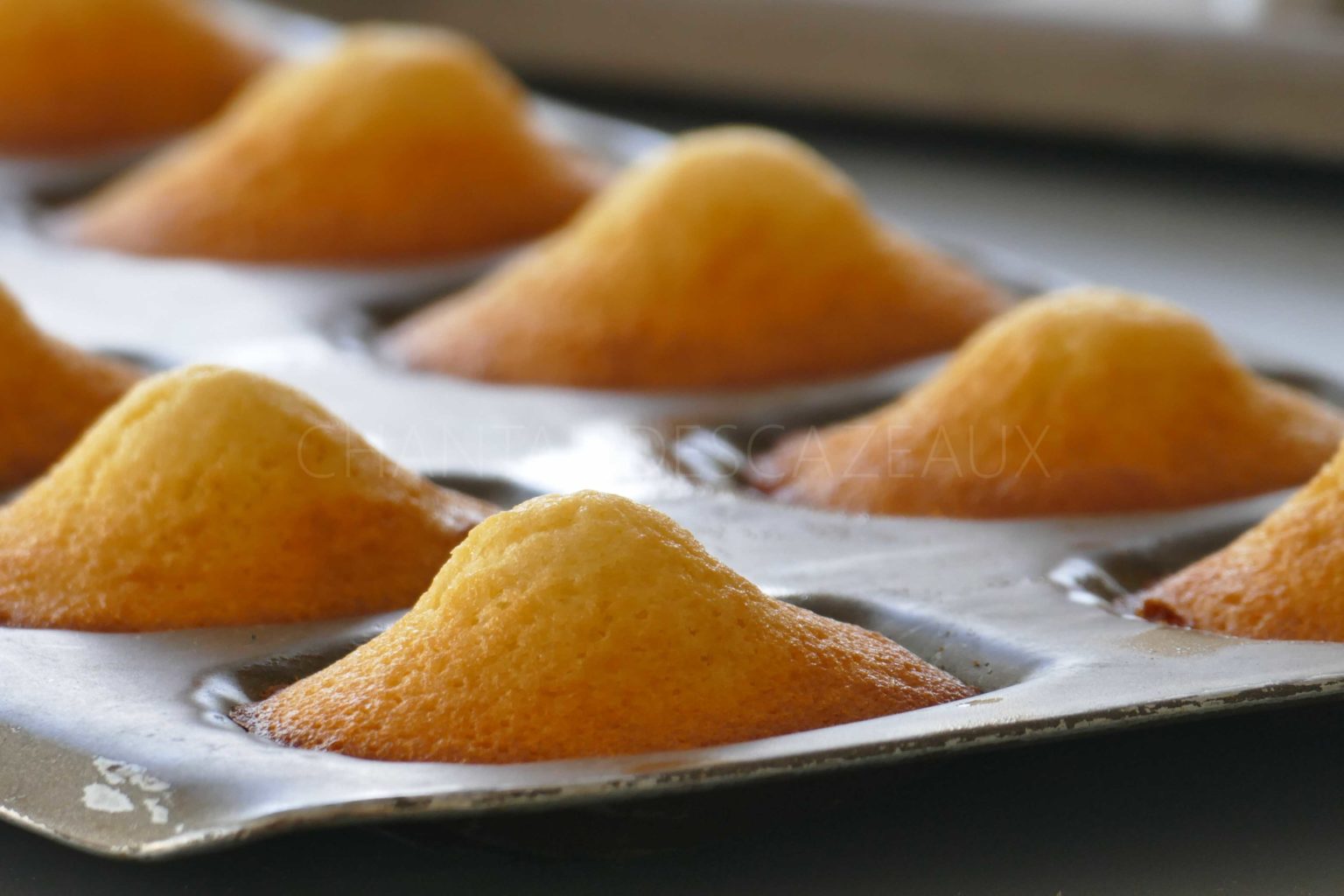 Madeleines - La recette avec la bosse et faite en 5 minutes!